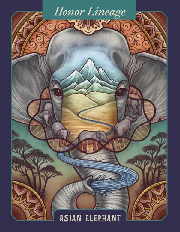 The Illustrated Bestiary Oracle Cards: 36-Card Deck of Inspiring Anima ...