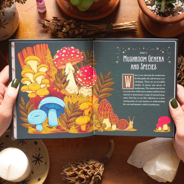 Mushroom Magick: Ritual, Celebration, and Lore - Dragonfly Art and Soul ...