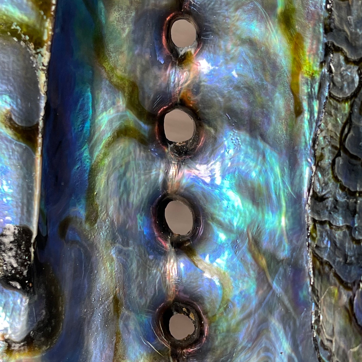 Welcome To Dragonfly - Dragonfly Art and Soul Metaphysical Shop