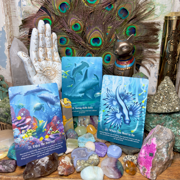 Whispers of the Ocean Oracle Cards - Dragonfly Art and Soul ...