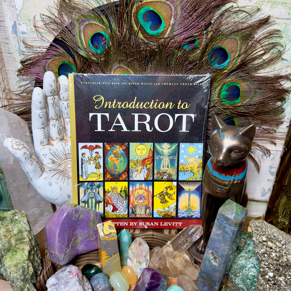 Books & Journals Tagged "Introduction" - Dragonfly Art and Soul ...