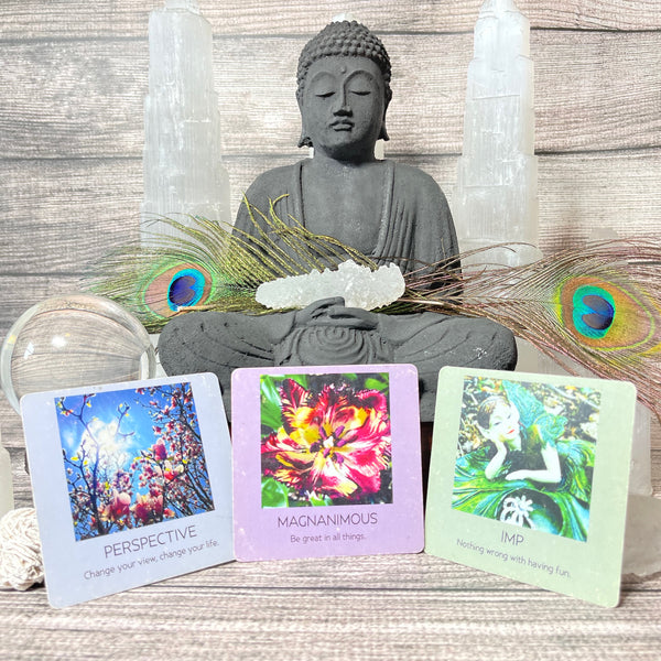 Dragonfly Soul Tribe Oracle Deck - Dragonfly Art and Soul Metaphysical Shop