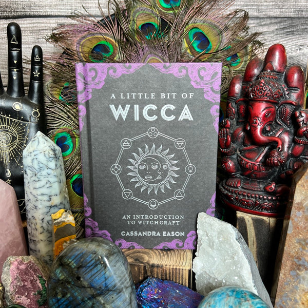 A Little Bit of Wicca: An Introduction to Witchcraft - Dragonfly Art ...