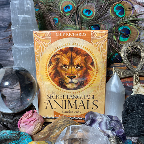 Tarot & Oracle Decks Tagged "Secret Languages" - Dragonfly Art and Soul ...